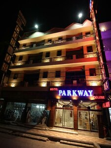 Hotel Parkway Deluxe (New Delhi, Paharganj), otel  Delhi'den