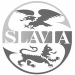 Slavia Publisher (Millionnaya Street No:25), yayınevleri, yayıncılar  Saint‑Petersburg'dan