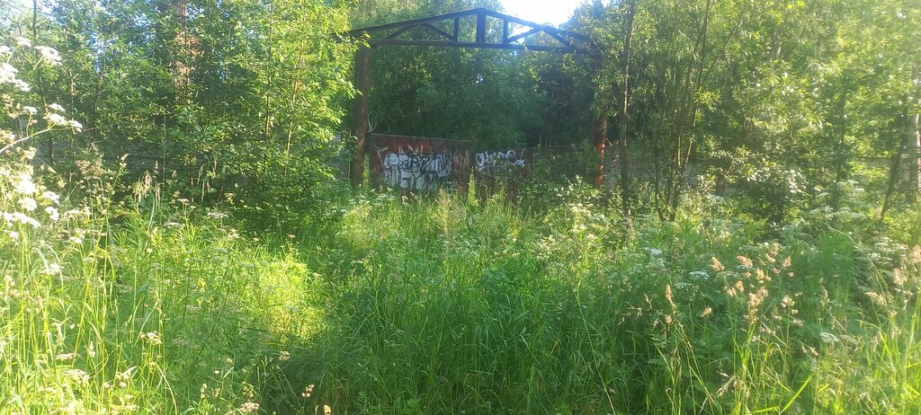 Hayvancılık Птицефабрика, Saint‑Petersburg ve Leningradskaya oblastı, foto