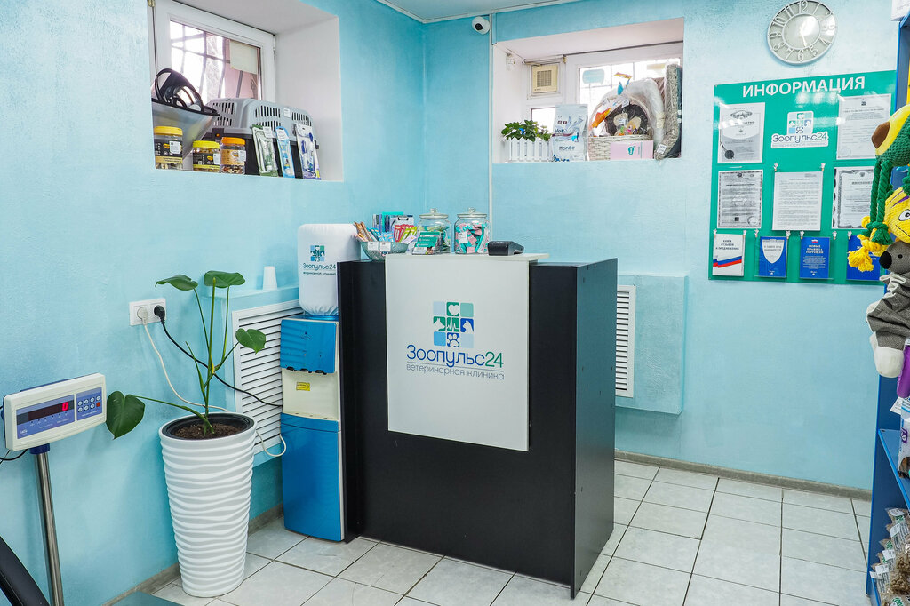 Veteriner klinikleri Zoopulse, Çeliabinsk, foto