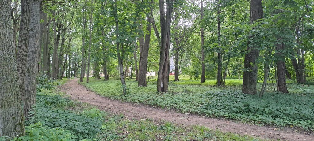 Kültür ve eğlence parkları Регулярный парк усадьбы Голицыных, Vladimirskaya oblastı, foto