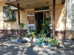 Podsolnuhi (Nauryzbai Batyr Street No:60), çiçekçiler  Almatı'dan