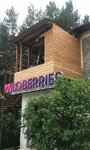 Wildberries (Sportivnaya ulitsa No:1/1), teslimat noktası  Rej'den