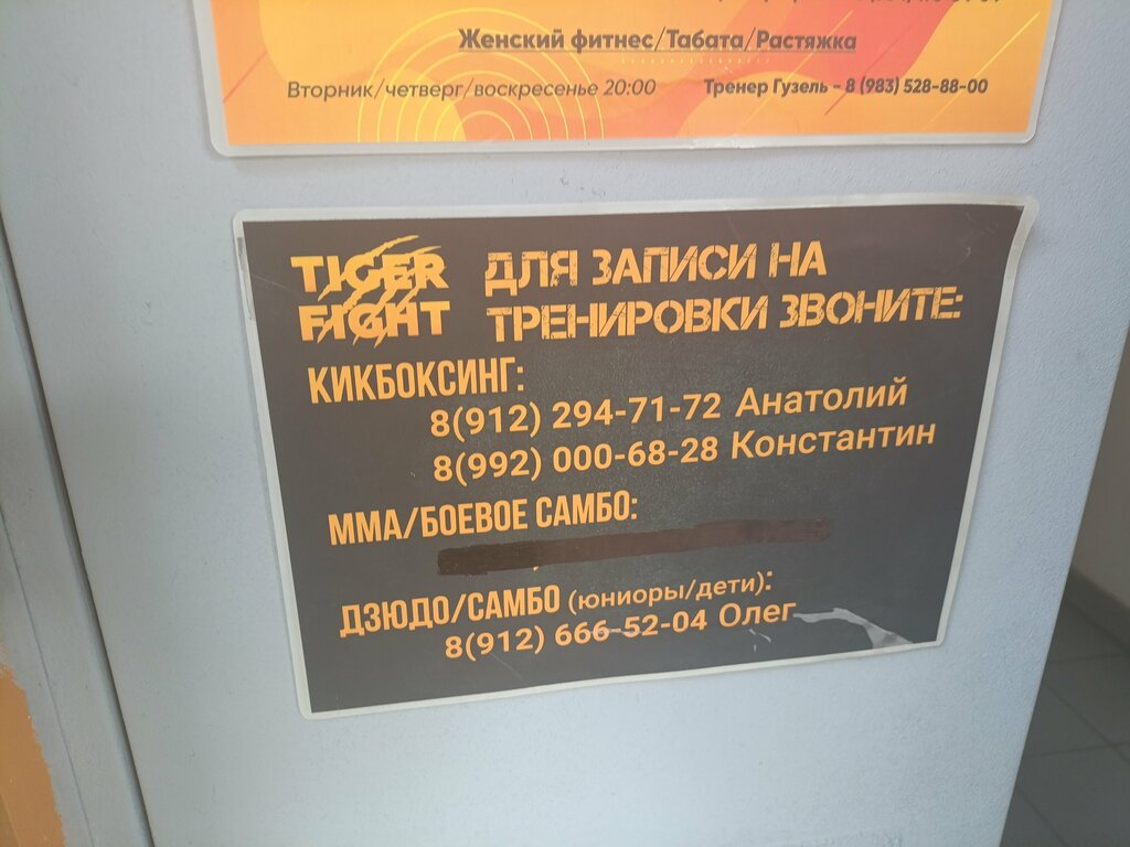 Spor kulüpleri Tiger Fight, Yekaterinburg, foto