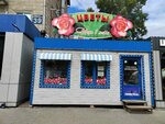 Tsvety (Karla Marksa Avenue No:39), çiçekçiler  Novosibirsk'ten
