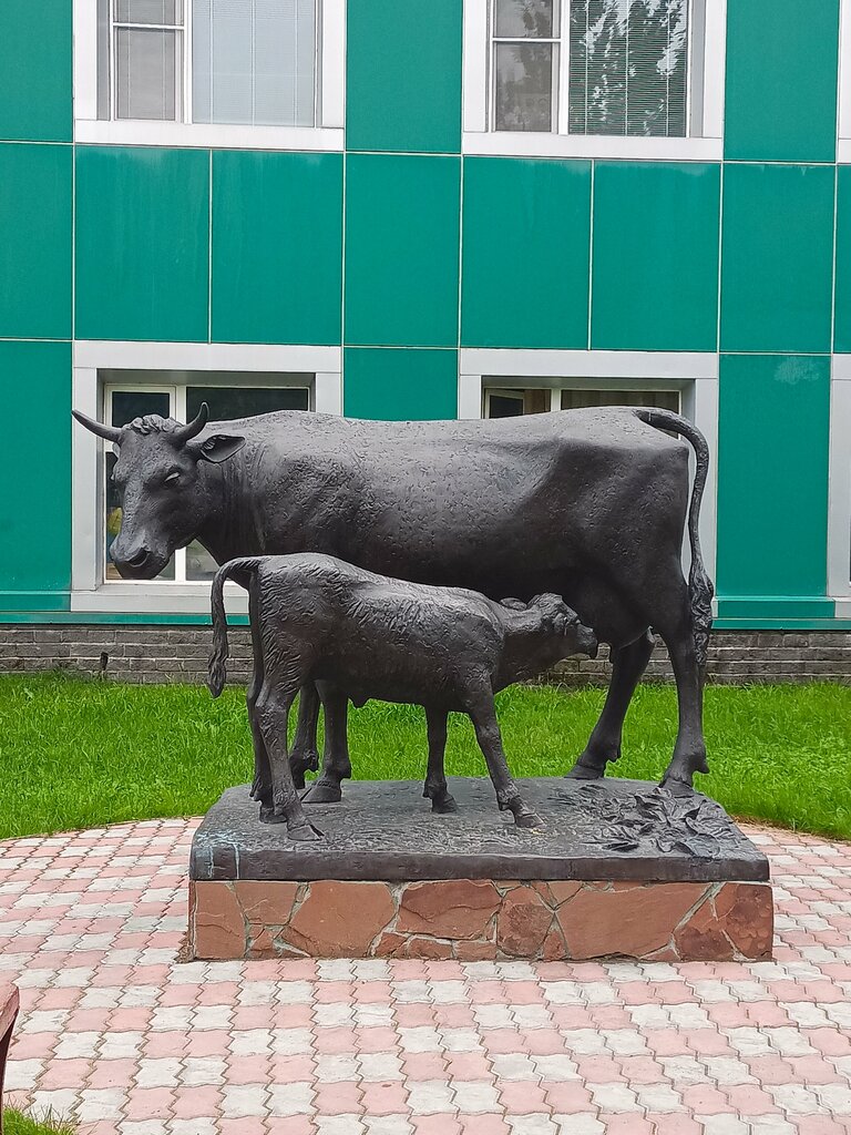 Park, sokak heykeli Корова с телёнком, Petropavlovsk, foto