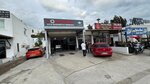 Bodrum Oto Ekspertiz Computest (Muğla, Bodrum, Bitez Mah., Atatürk Blv., 8), otomobil ekspertizi  Bodrum'dan