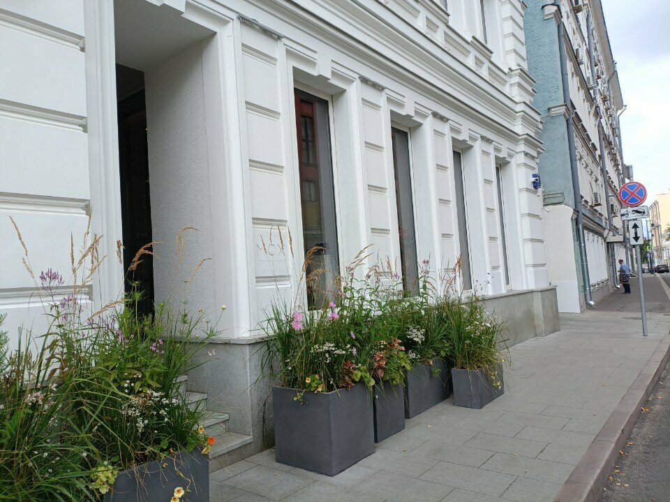 Peyzaj tasarımı Мох, Moskova, foto