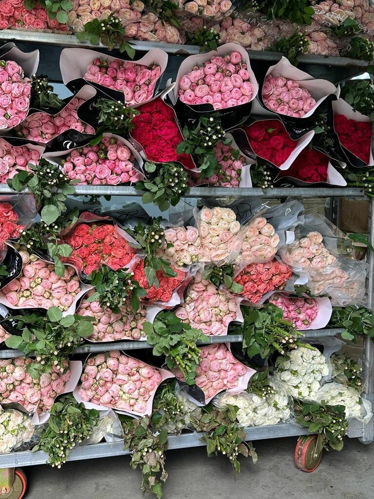 Toptancılar Брюсофф - цветочный дом, Moskova, foto