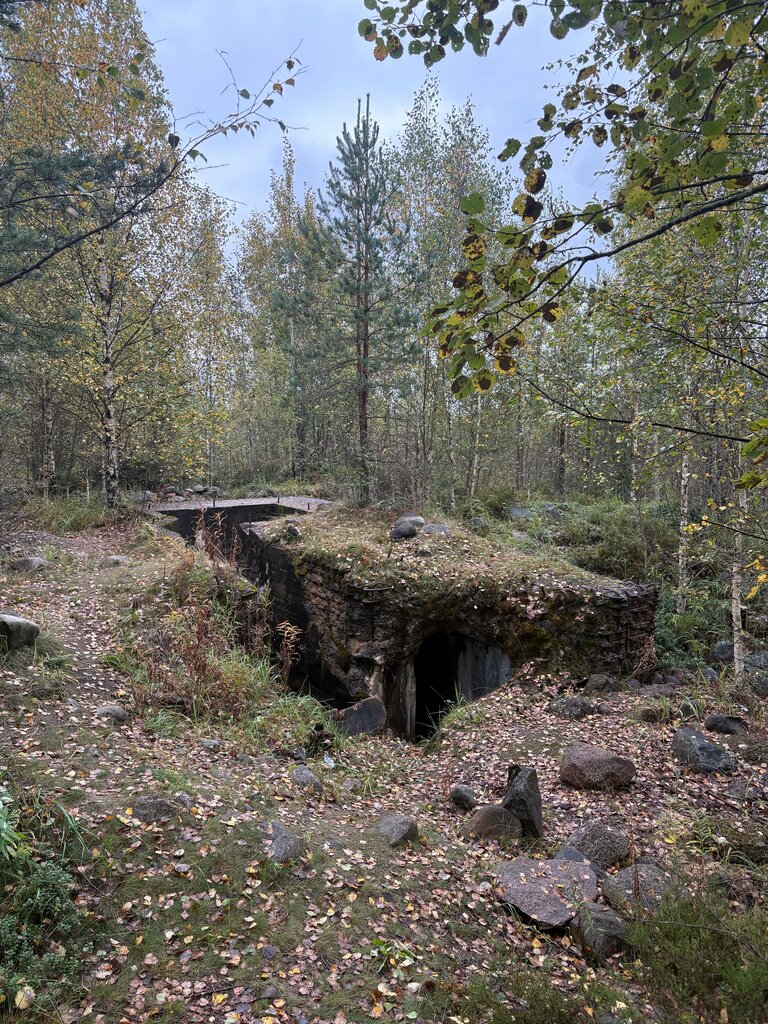 Turistik yerler Long-term Firing Point Sk-10, Saint‑Petersburg ve Leningradskaya oblastı, foto