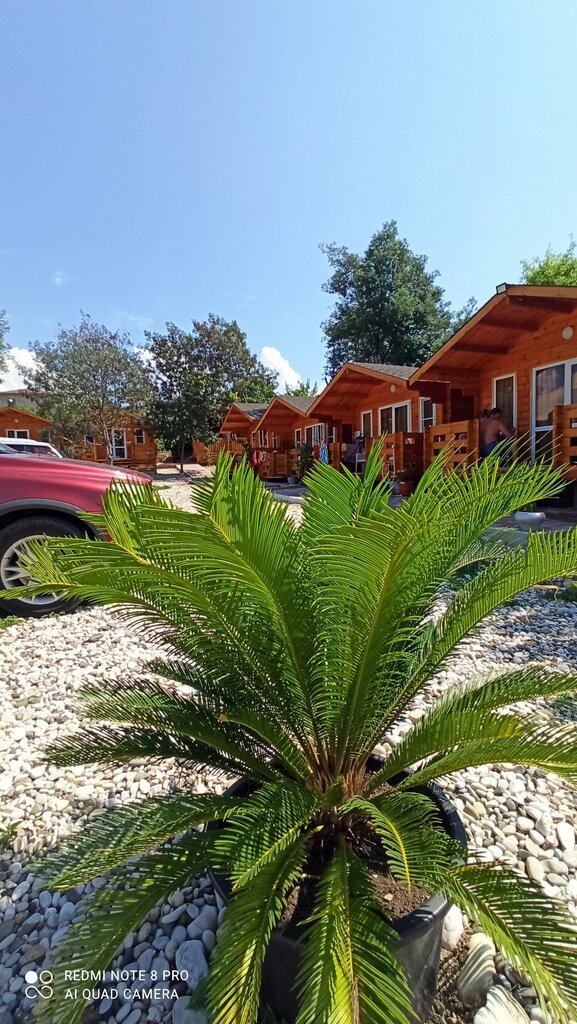 Konuk evi У Лианы и Гарика, Gudauta Bölgesi, foto