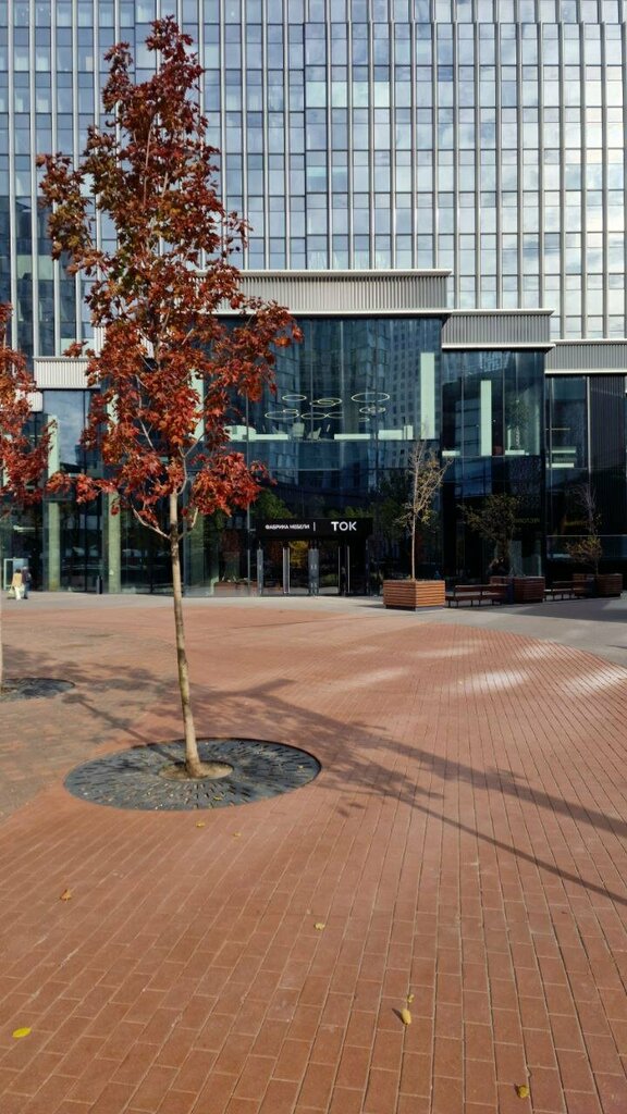 Mobilya mağazaları Tok, Moskova, foto