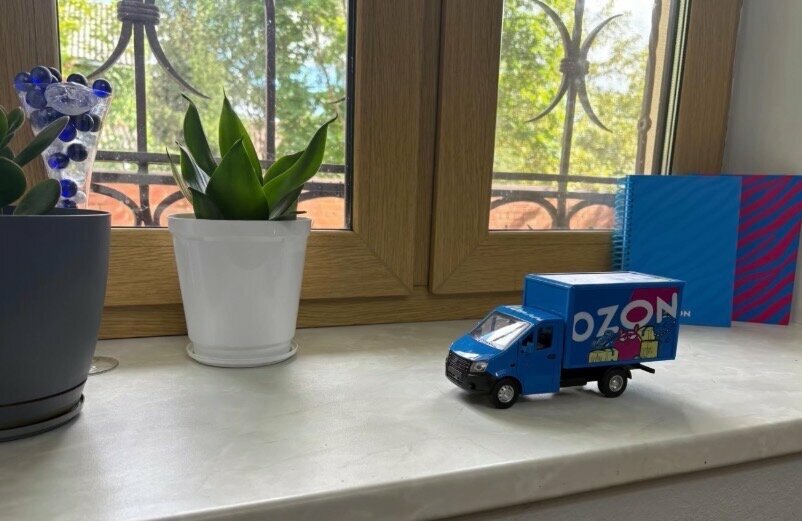 Teslimat noktası Ozon, Moskova ve Moskovskaya oblastı, foto