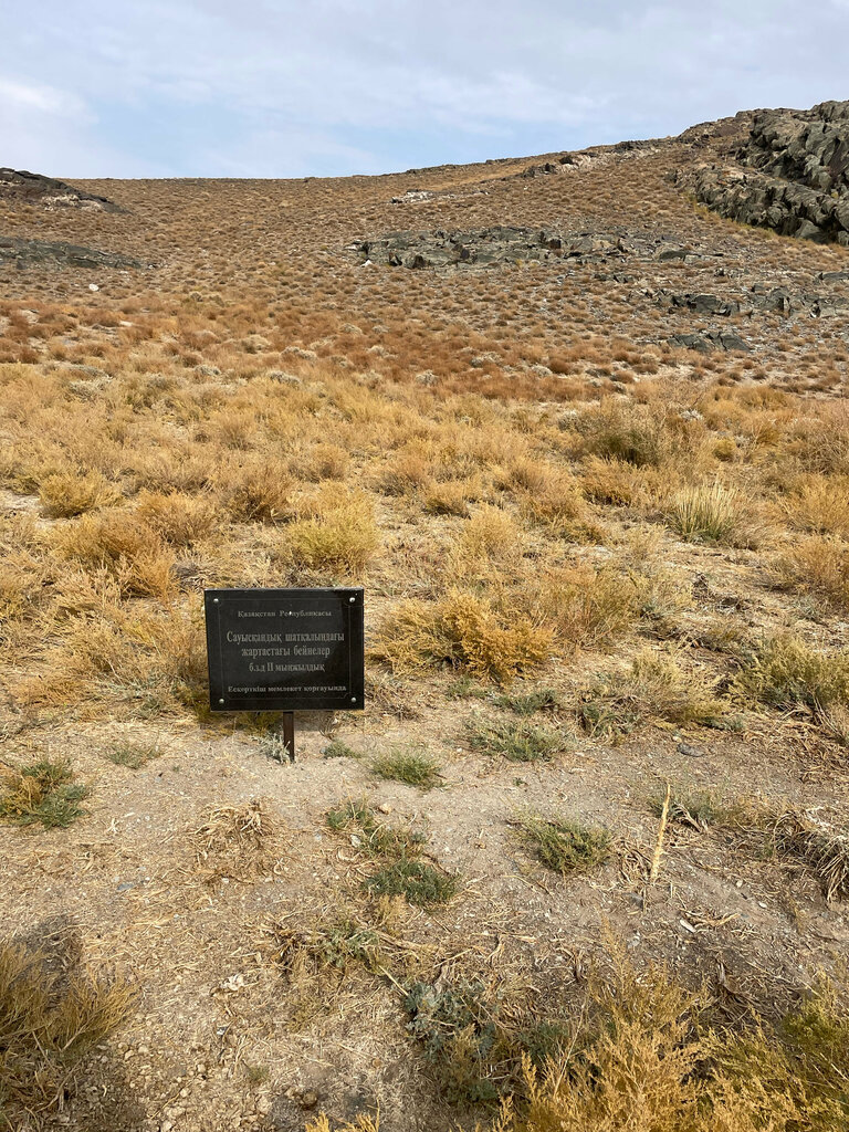 Turistik yerler Sauyskandyk Petroglyphs, Kızılorda eyaleti, foto
