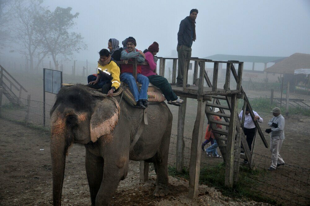 Otel Chitwan Safari Resort, , foto