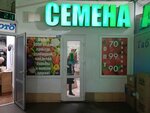 Семена (General-Leytenanta Zakharova Street No:2), tohum satan yerler  Kaliningrad'dan