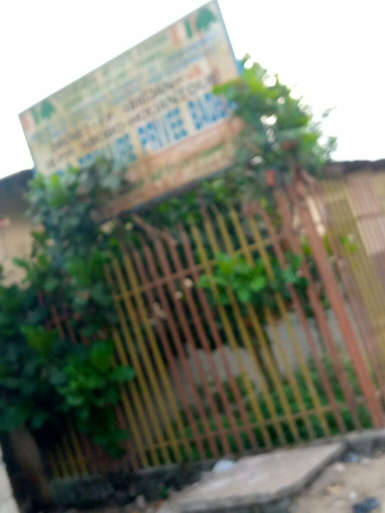 Özel okul École Primaire Privée Baobab, Abican, foto