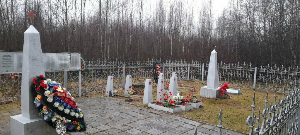 Anıt, heykel Братская могила советских воинов, Novgorodskaya oblastı, foto