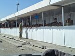 Fish Market (M34), gıda pazarı  Siriderya eyaletinden