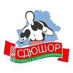 Olympic boxing and climbing school (Majakowskaga Street No:172А), spor kulüpleri  Minsk'ten