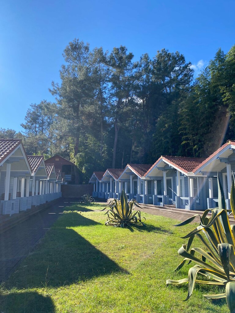 Otel Ласточка Роща, Pitsunda, foto