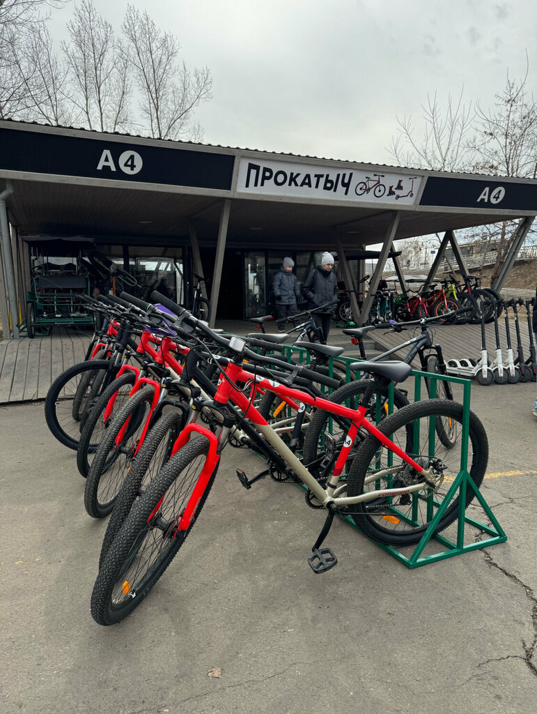 Bisiklet kiralama Прокат велосипедов, Krasnoyarsk, foto