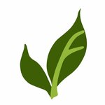 Flosplanet (Sadovaya-Kudrinskaya Street No:8-10-12), yapay bitki ve çiçek  Moskova'dan