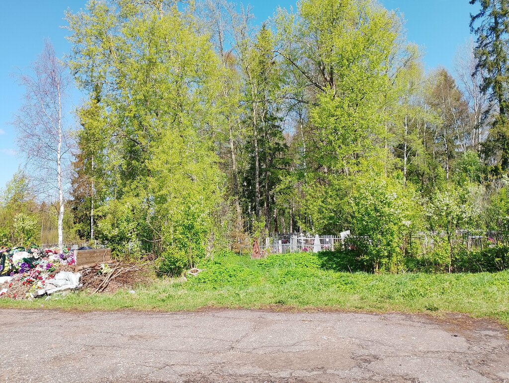 Mezarlıklar Благовещенское кладбище, Yaroslavskaya oblastı, foto