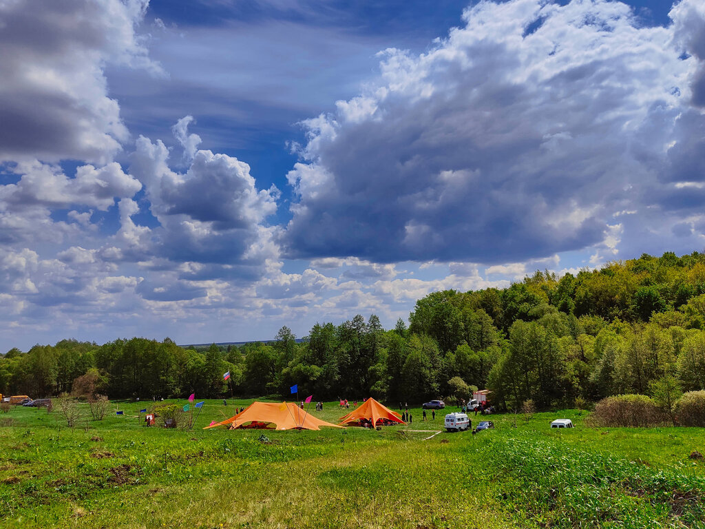 Orman Папоротная лощина, Riazanskaya oblastı, foto