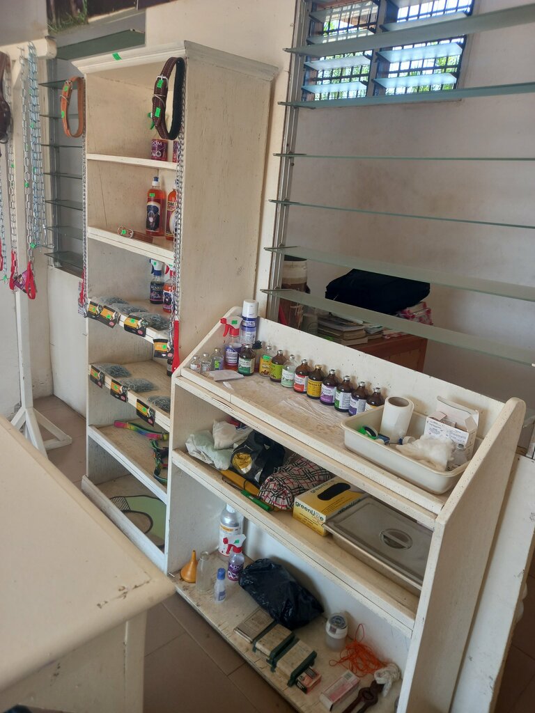 Veteriner klinikleri Maldavets Veterinary, Dünya, foto