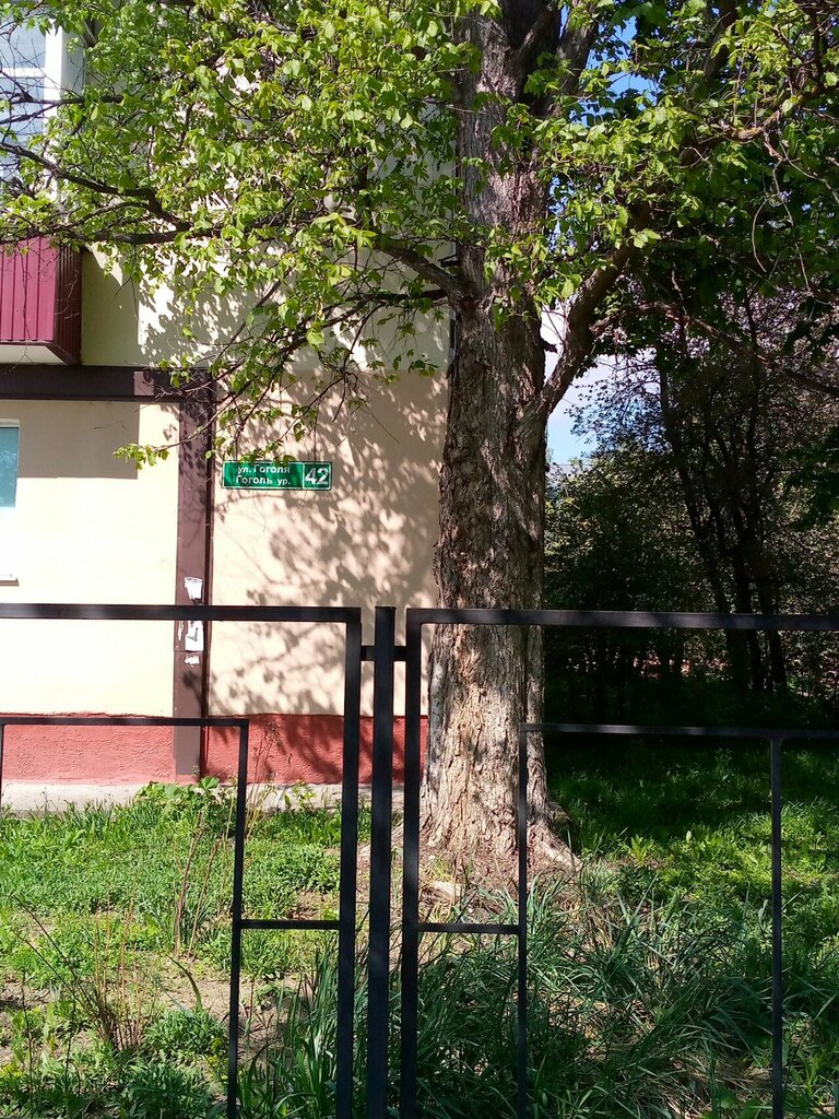 Sivil toplum kuruluşları Общество охотников и рыболовов, Zelenodolsk (Yeşel Üzen), foto