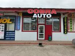 Cobra Auto (Trubny proyezd No:3Ас3), otomobil yedek parçaları  Naberejniye Çelny'den (Yar Çallı'dan)