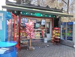 Köşk (Baku, Nesimi District, Cavadxan Street), gazete bayi  Bakü'den