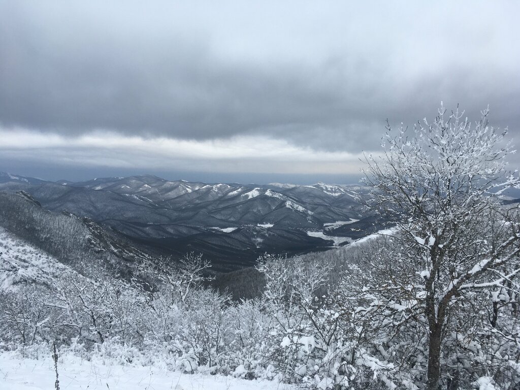 Dağ zirvesi Гора Апалы 678 метров, Kırım Cumhuriyeti, foto