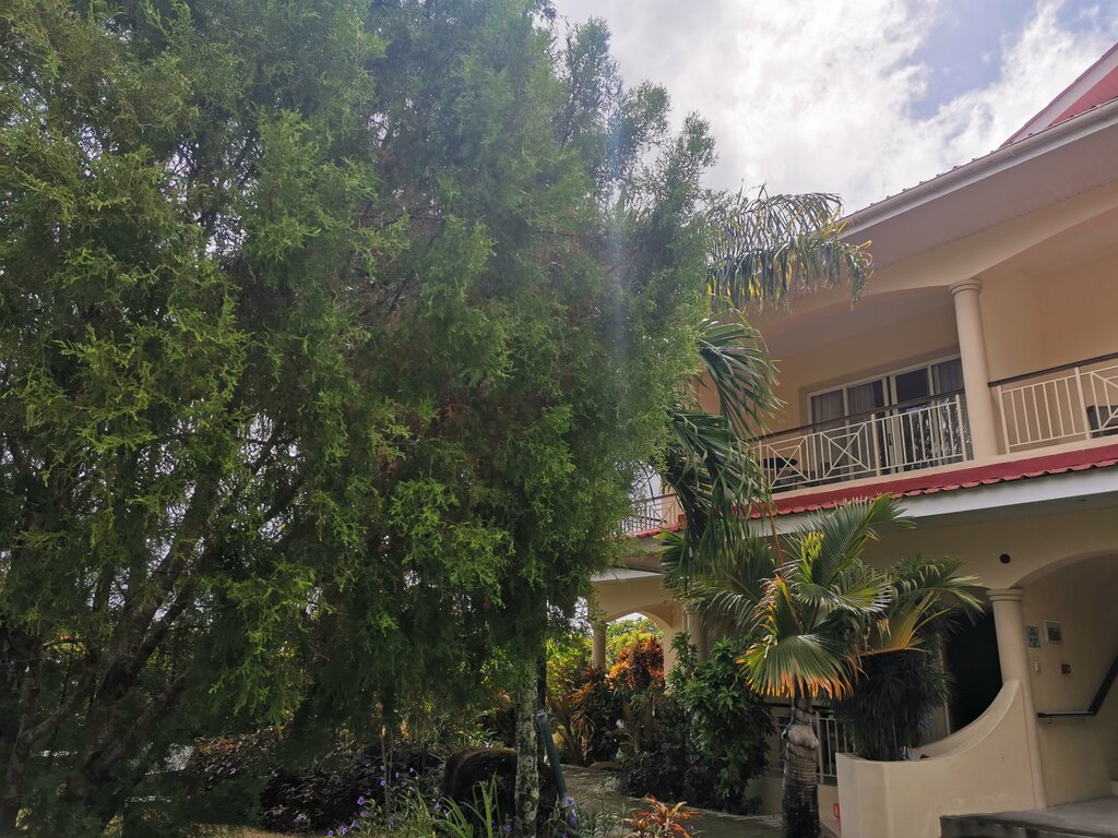 Otel Marie Laure Suites, Dünya, foto