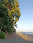 Эвкалиптовый рай (Autonomous Republic of Abkhazia, Ochamchirskiy munitsipalitet, selo Kyndyg, posyolok Akuara Uaa), resort oteller, tesisler  Oçamçıra Bölgesi'nden