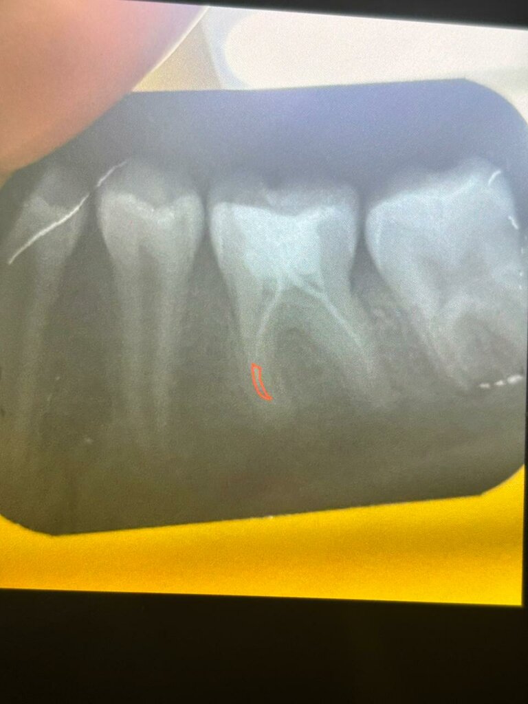 Özel ağız ve diş sağlığı klinikleri ve muayenehaneleri Династия, Ostrov, foto