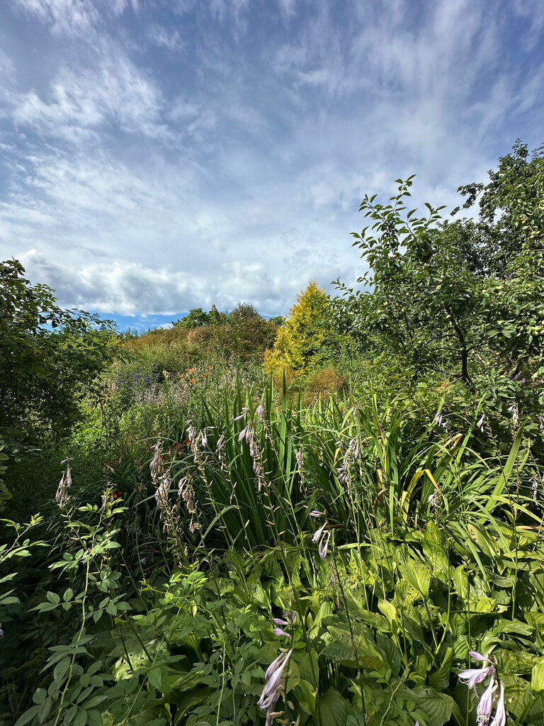 Bahçe Lower Garden, Sortavala, foto