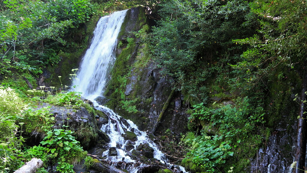 Şelale Водопад Птичий клюв, Gudauta Bölgesi, foto