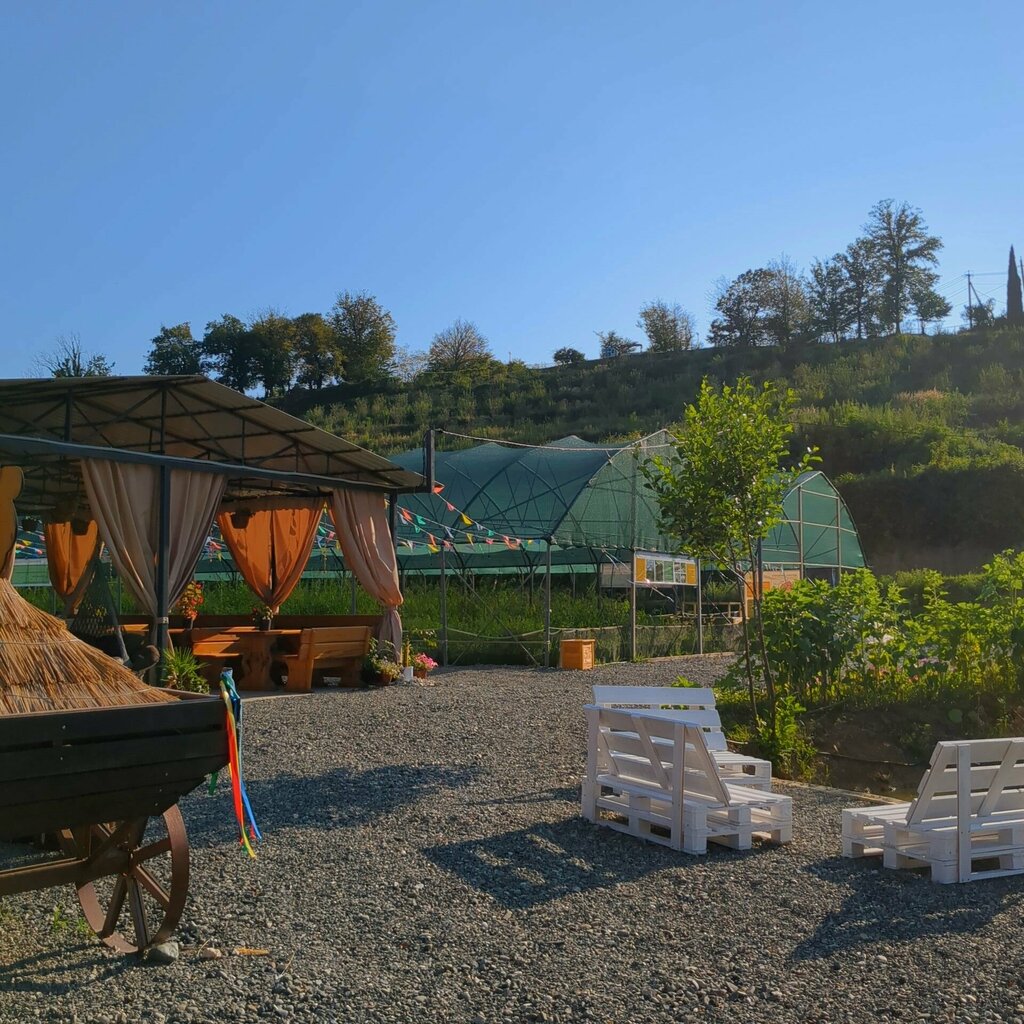 Geziler Улиточная Эко Ферма Улитки ВВерх, Soçi, foto