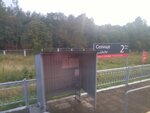Селище (Novgorod Region, Okulovskiy District, Uglovskoye gorodskoye poseleniye, zheleznodorozhnaya stantsiya Selishche), tren istasyonu  Novgorodskaya oblastından