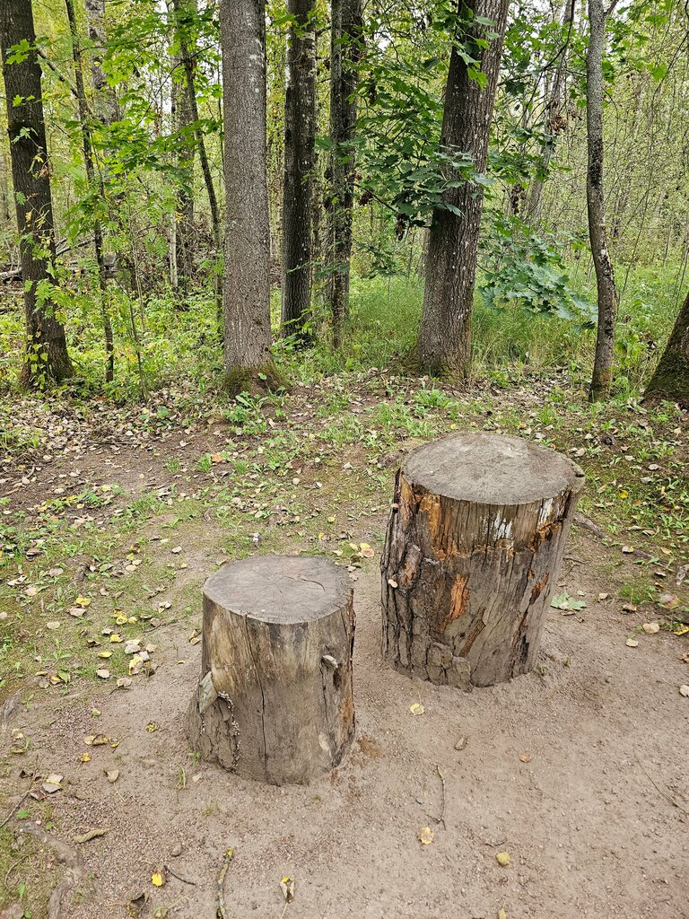 Unutulmaz olayların yeri The Green Study of V. Lenin, Sestroretsk, foto