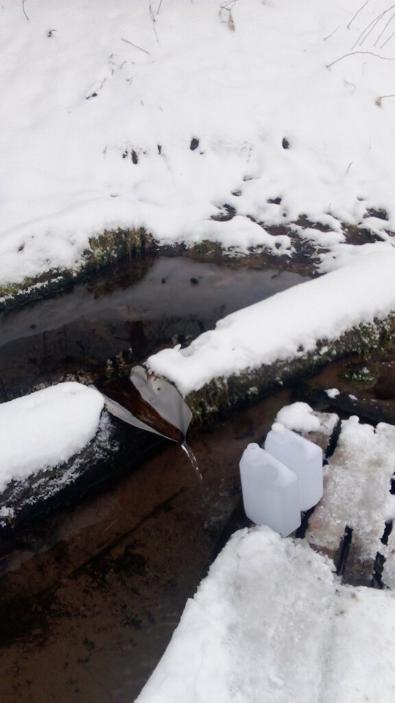 Pınar, çay Spring, stream, Lodeynoe Pole, foto