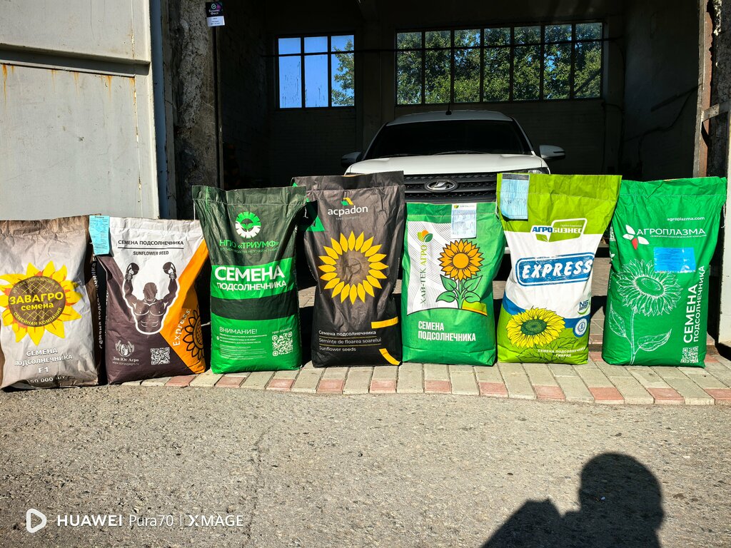 Tohum satan yerler Yug-terra, Şahty, foto