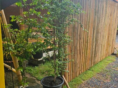 ГОСТИНИЦА LONG BEACH SIMPLE HOUSE, Таиланд — Яндекс Путешествия