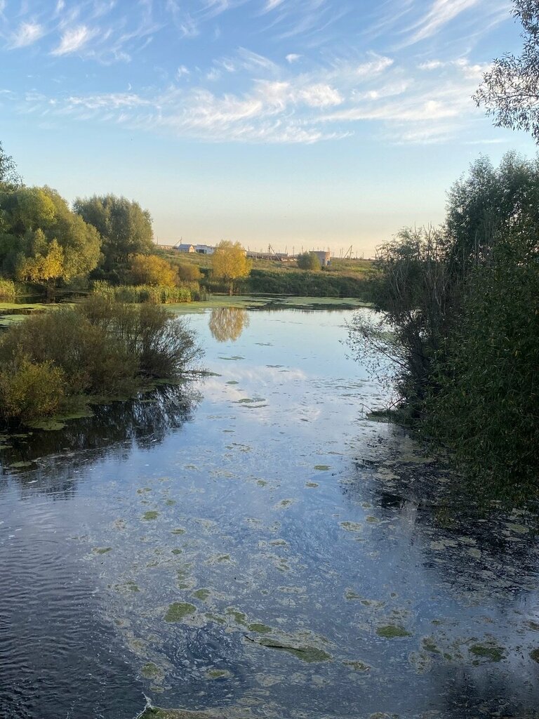 Gıda hammaddesi Aidabol Distillery, Akmola eyaleti, foto