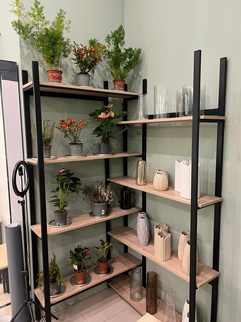 Çiçekçiler Аленький, Vitebsk, foto