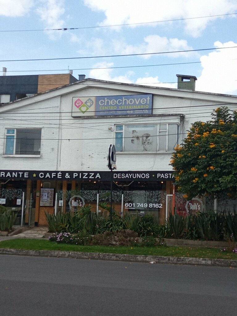 Veteriner klinikleri Chechovet Centro Veterinario, Bogota, foto