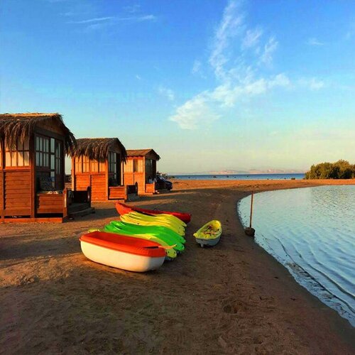 Nabq Camp, hotel, Peace Road Nabq Bay Sharm el Sheikh 46628 — Yandex Maps