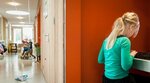 Lev-wn Basisschool de Lichtwijzer (van Houdringelaan No:2, Oegstgeest), i̇lkokul  Hollanda'dan